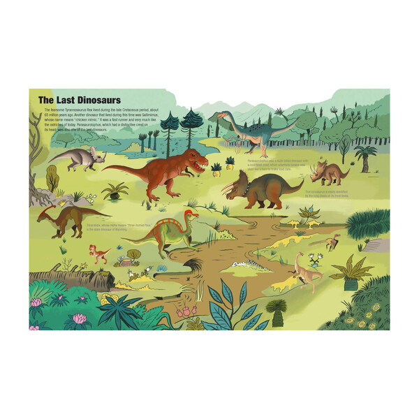 Dinosaurs and Other Prehistoric Creatures - - Maisonette