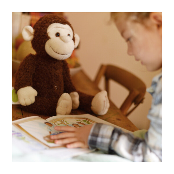 Boodles Plush Toy & Being Adopted is Special Book - Play Learning Books ...