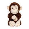 Boodles Plush Toy & Being Adopted is Special Book - Your Buddy Boodles ...