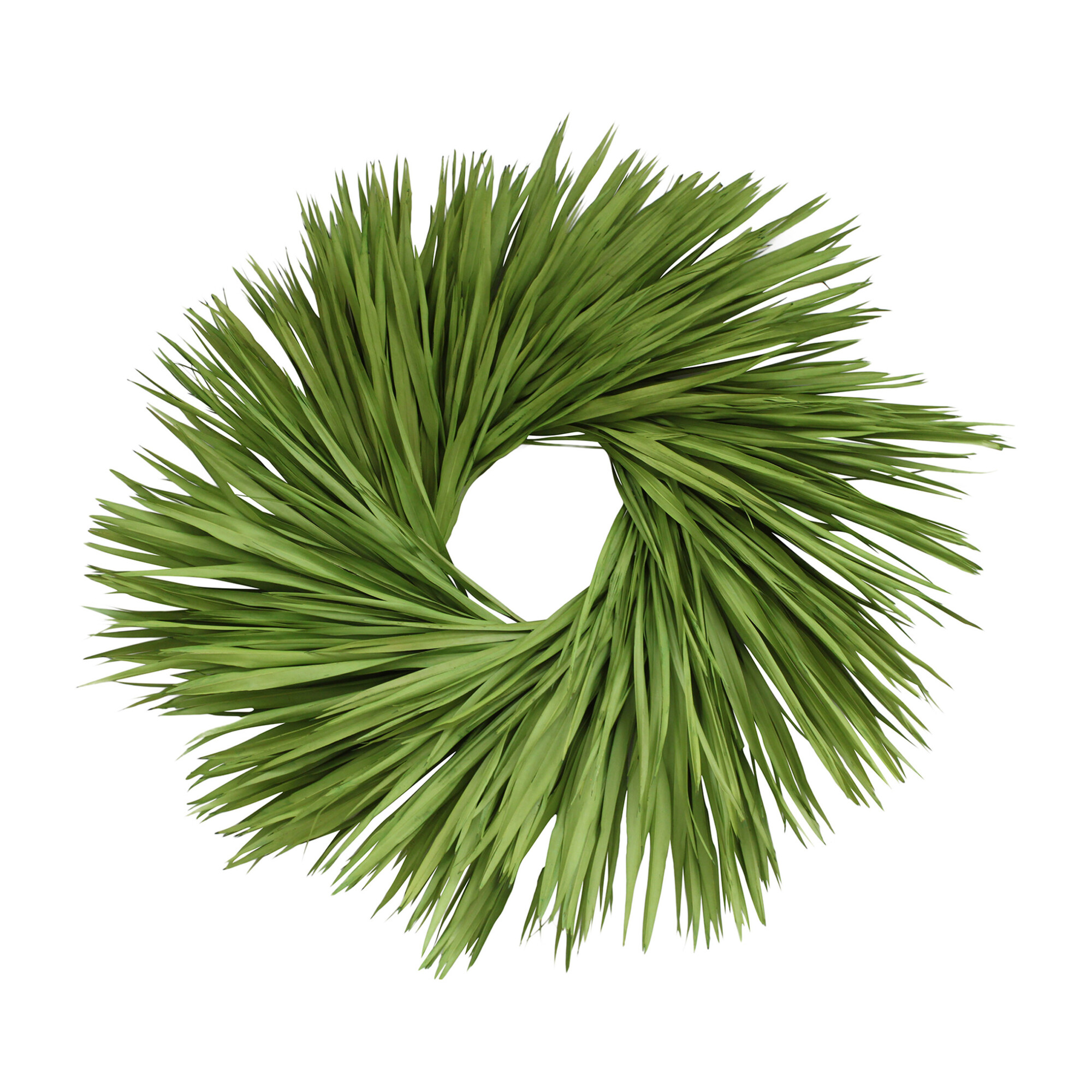 Palm Wreath, Chartreuse - Home Seasonal Wreaths & Garlands - Maisonette