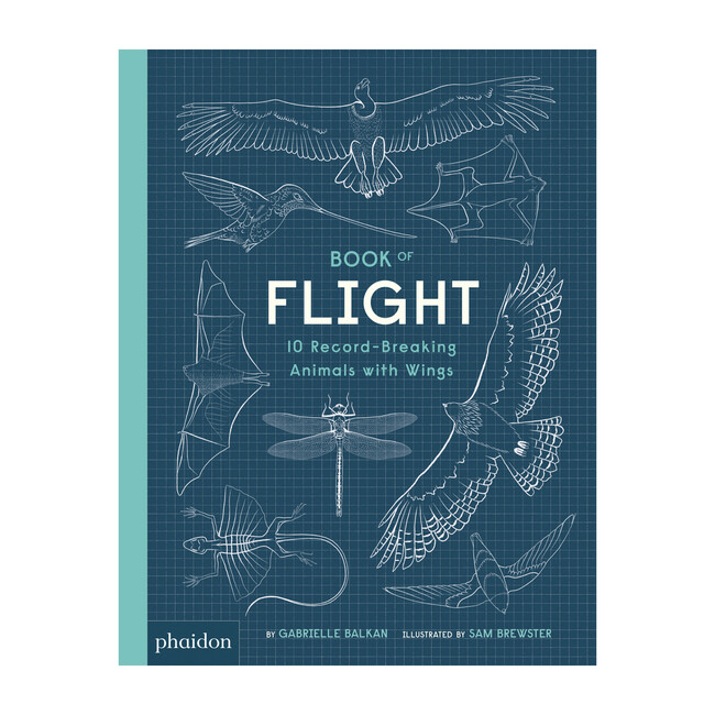 Book of Flight - Phaidon Books | Maisonette