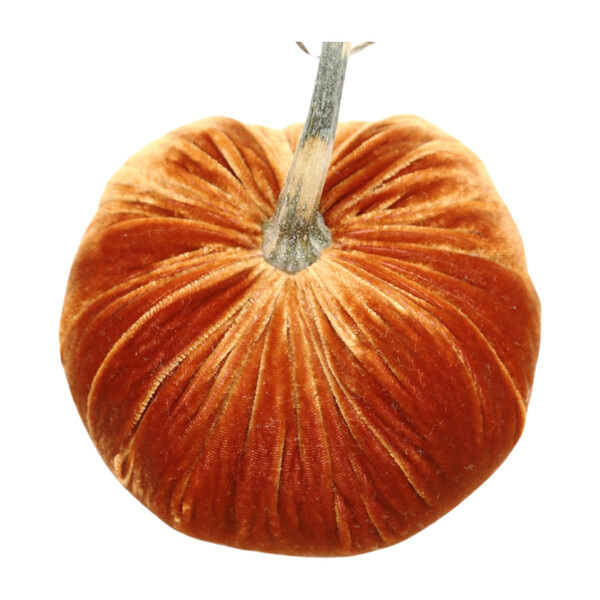 Velvet Pumpkin, Persimmon - Home Seasonal Thanksgiving - Maisonette