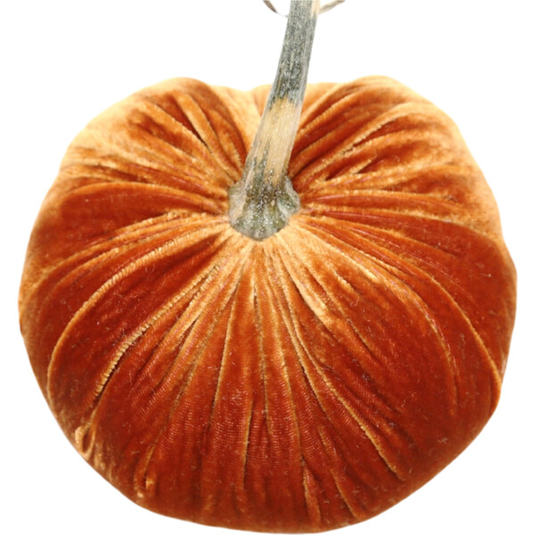 Velvet Pumpkin, Persimmon - Hot Skwash Thanksgiving | Maisonette