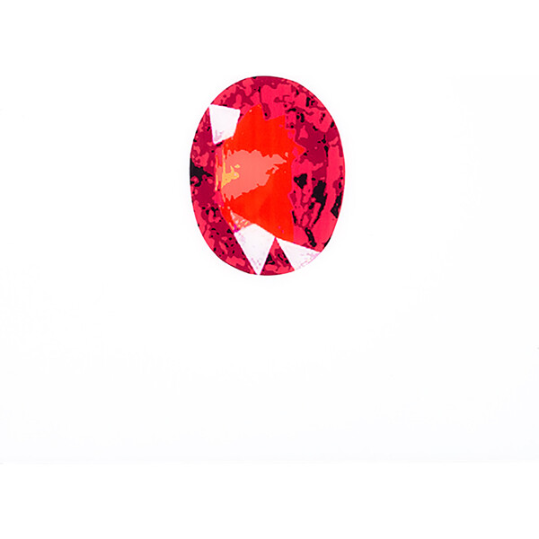 Ruby on Acrylic by Nathan Turner - Artshoppe Art | Maisonette