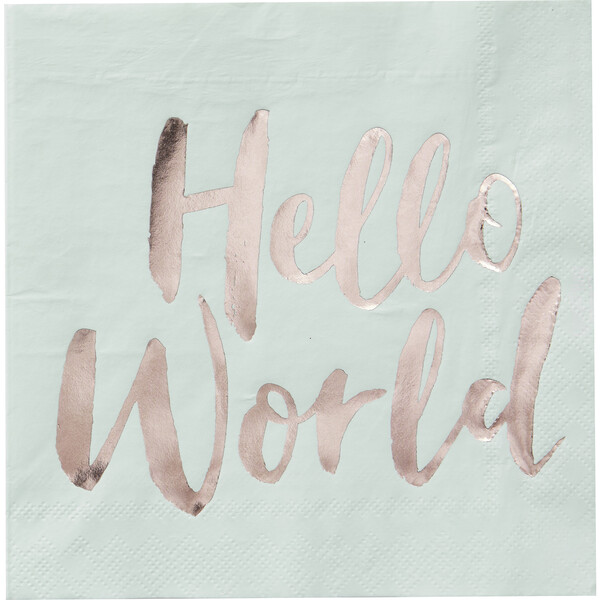 Hello World Paper Napkins, Mint & Rose Gold - Ginger Ray Party Goods ...