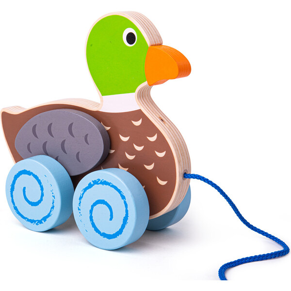 Pull Along (Duck) - Bigjigs Toys Push & Pull | Maisonette