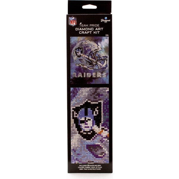 NFL Las Vegas Raiders Diamond Art Craft Kit - Sporticulture Arts ...