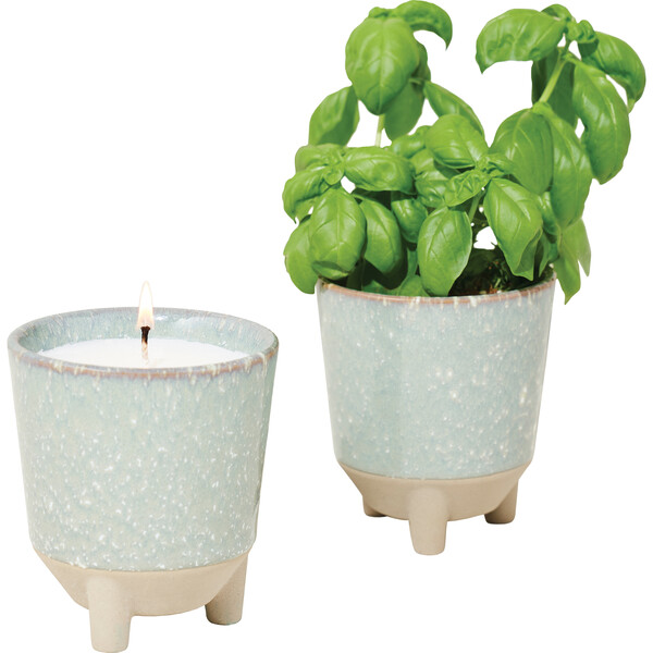 Glow & Grow Herb Garden Candle + Basil Grow Kit - Modern Sprout ...